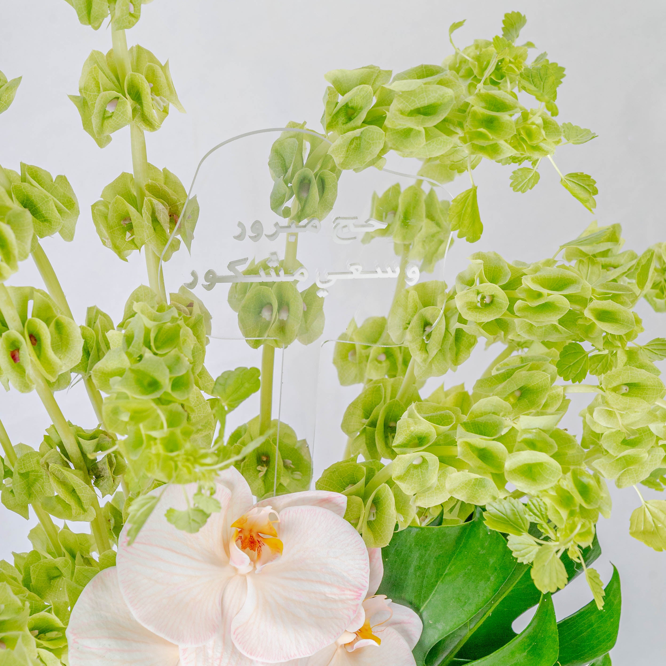 Flower Service, Dubai - Bouquet Delivery Dubai - mozflowers.com